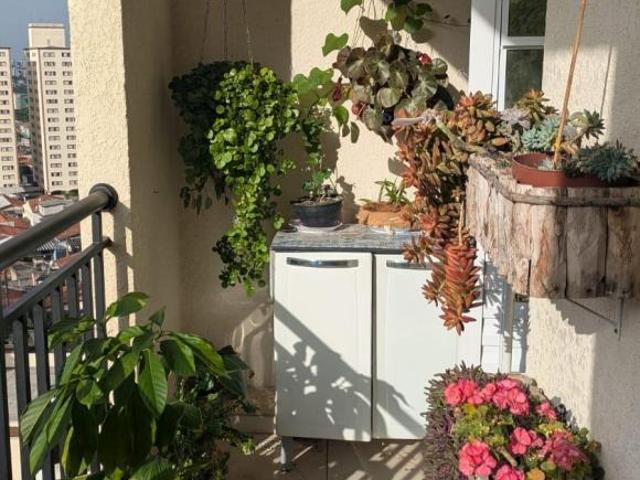 Apartamento, Chácara Agrindus, Taboão da Serra, SP