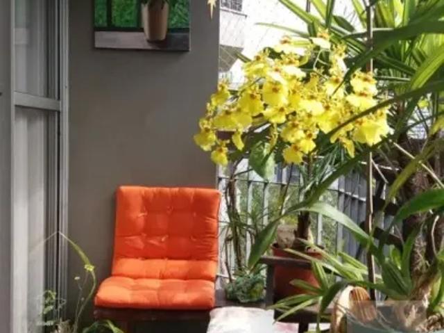 Apartamento com 3 dormitórios sendo 1 suíte e 2 vagas Morumbi