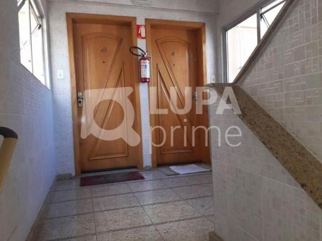Apartamento com 3 dormitório á venda Guapira São Paulo