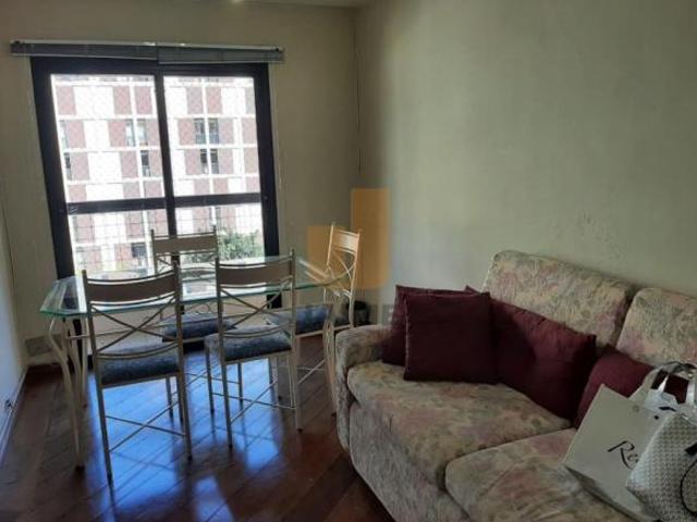 Apartamento com 3 Dormitórios 2 Vagas em Santa Cecilia