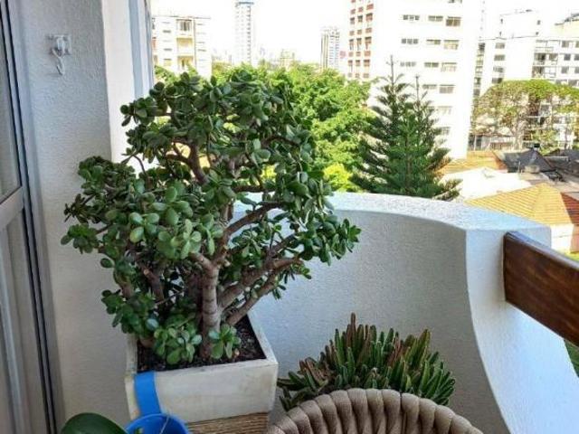 Apartamento com 3 dormitórios à venda, 114 m² por R$ 1.590.000,00 Vila Mariana São Paulo/SP