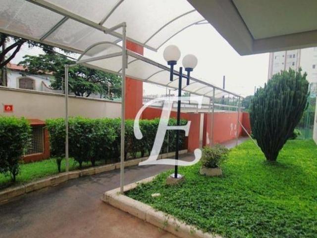 Apartamento com 3 dormitórios à venda, 50 m² por R$ 309.000,00 Lauzane Paulista São Paulo/SP