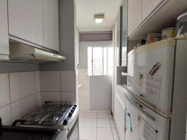 Apartamento com 3 dormitórios à venda, 60 m² por R$ 230.000,00 Parque Universitário Americana/SP