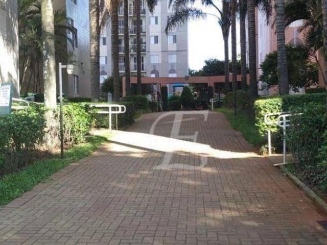 Apartamento com 3 dormitórios à venda, 60 m² por R$ 450.000,00 Cambuci São Paulo/SP