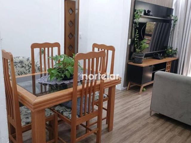 Apartamento com 3 dormitórios à venda, 70 m² por R$ 450.000,00 Vila Carbone São Paulo/SP