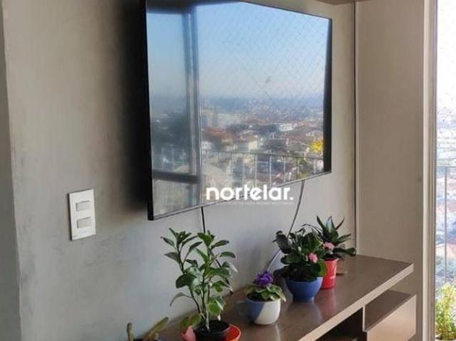 Apartamento com 3 dormitórios à venda, 72 m² por R$ 470.000,00 Vila Amélia São Paulo/SP