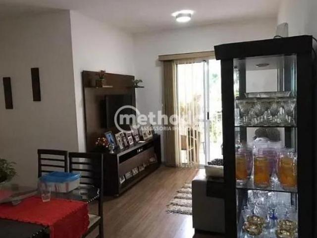 Apartamento com 3 dormitórios à venda, 80 m² lazer completo Swift Campinas/SP