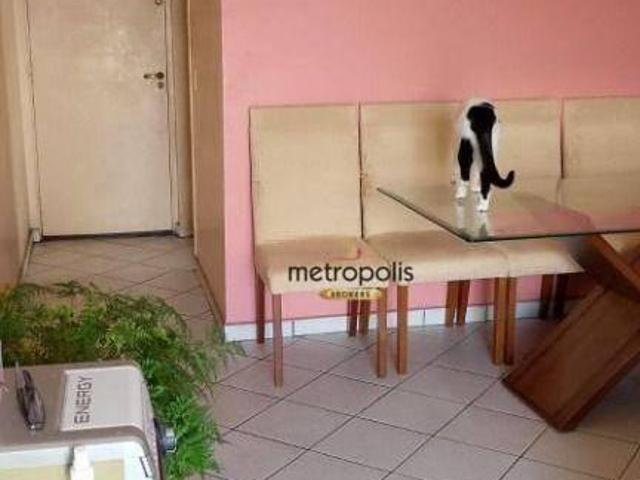 Apartamento com 3 dormitórios à venda, 80 m² por R$ 445.000,00 Vila Floresta Santo André/SP