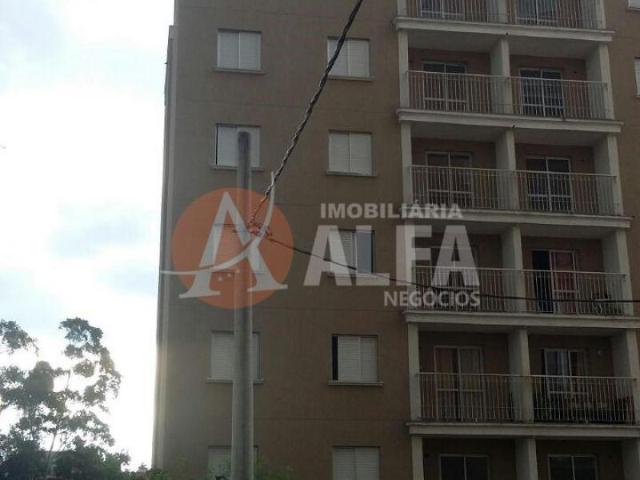Apartamento com 3 Dormitórios Condomínio Ilhas Marquesas Jardim Luísa São Paulo/SP