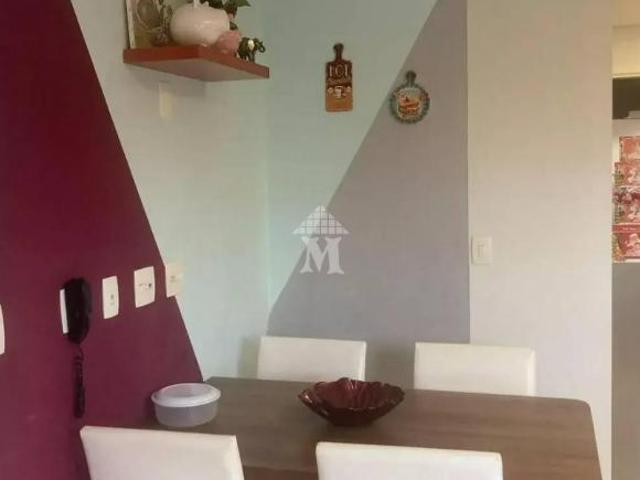 Apartamento com 3 dormitórios e Suítes na Aclimação São Paulo