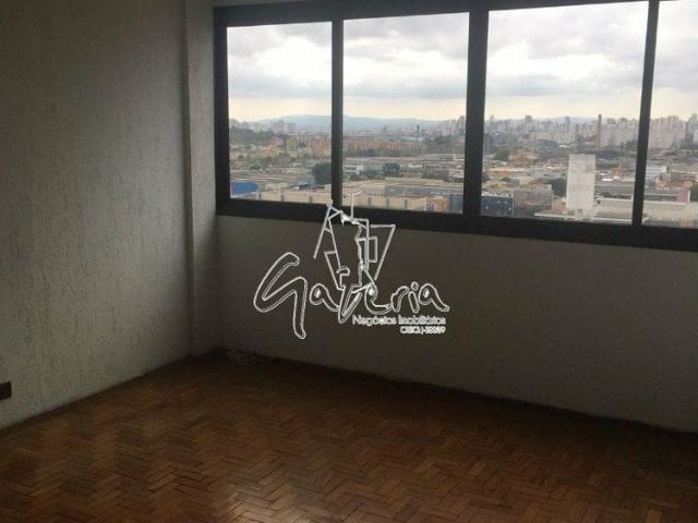 Apartamento Com 3 Dormitórios Em São Caetano