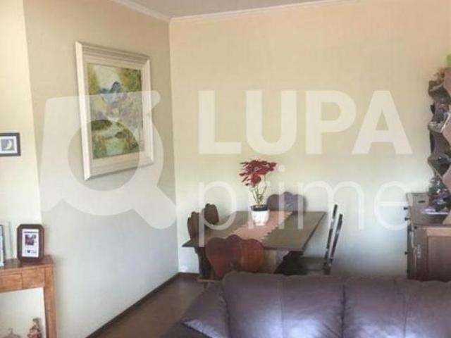 Apartamento com 3 dormitórios sendo 1 suíte á venda em Santa Teresinha!