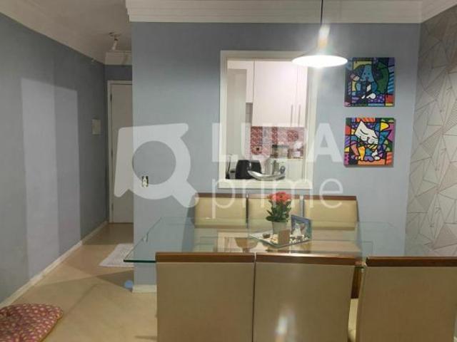 Apartamento com 3 dormitórios sendo 1 suíte á venda Lauzane Paulista São Paulo