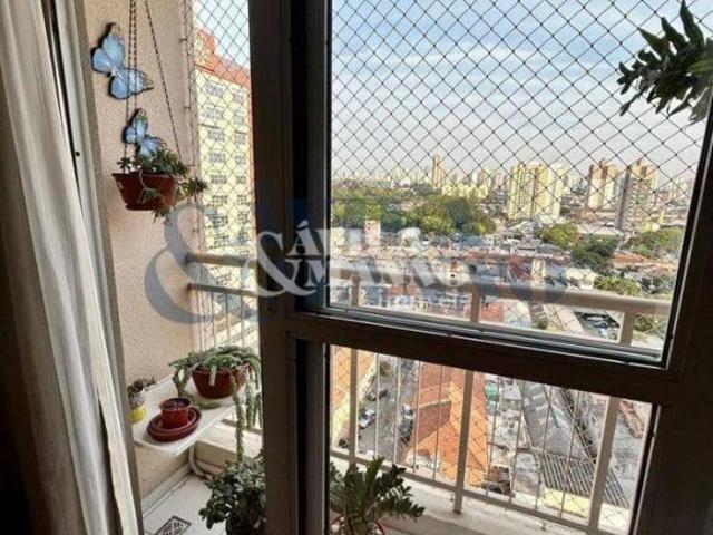 Apartamento com 3 Quartos, Mooca