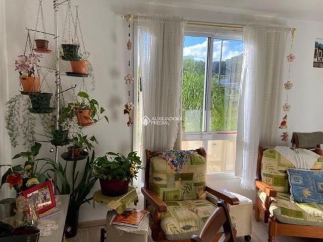 Apartamento com 3 quartos no bairro Hípica