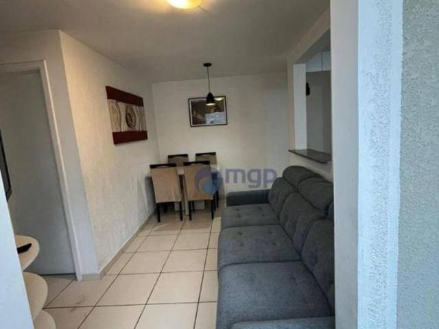 Apartamento com 3 quartos à venda, 55 m² Parque Novo Mundo São Paulo/SP