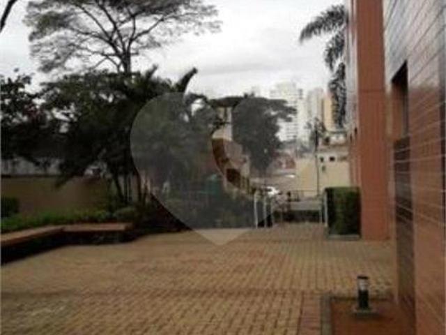 Apartamento com 3 quartos à venda em Cambuci SP