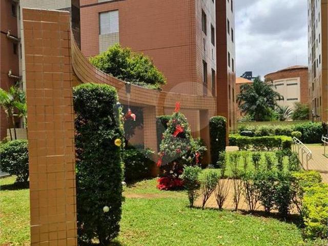 Apartamento com 3 quartos à venda em Cambuci SP