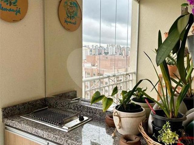 Apartamento com 3 quartos à venda em Água branca SP