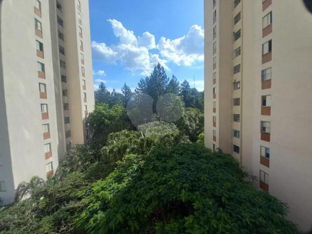 Apartamento com 3 quartos à venda em Barro branco zona norte SP