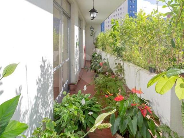 Apartamento com 3 quartos à venda em Bela vista SP