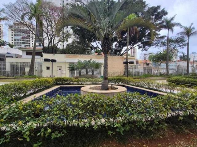 Apartamento com 3 quartos à venda em Jardim avelino SP