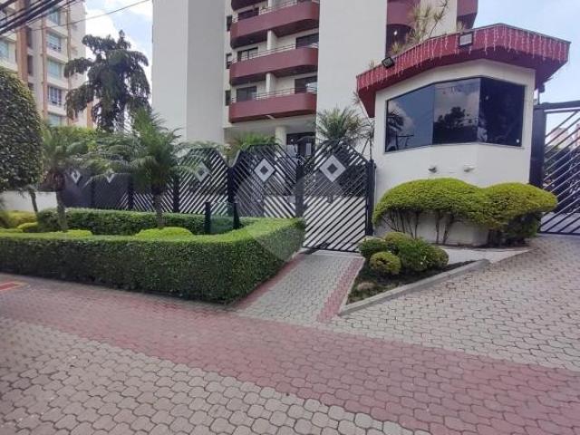 Apartamento com 3 quartos à venda em Jardim anália franco SP