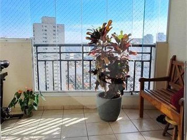 Apartamento com 3 quartos à venda em Mooca SP