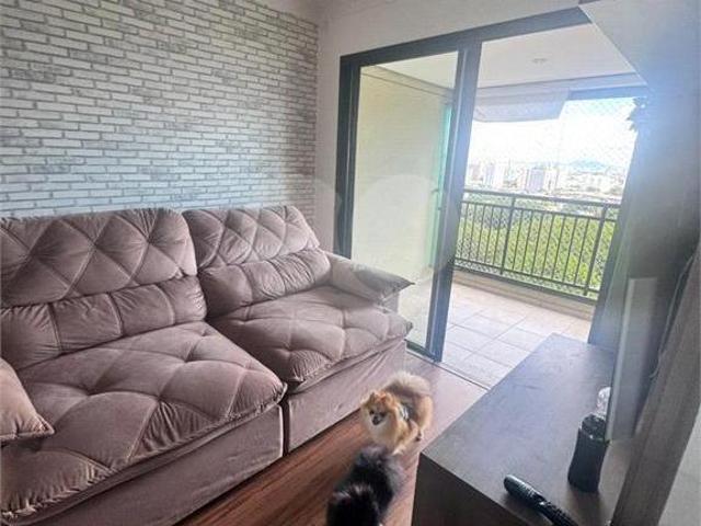 Apartamento com 3 quartos à venda em Mooca SP