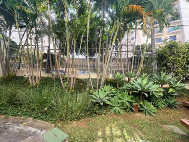 Apartamento com 3 quartos à venda em Vila amélia SP