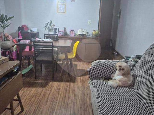 Apartamento com 3 quartos à venda em Vila Nova Cachoeirinha SP