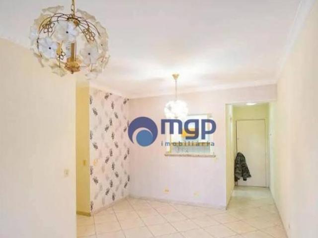 Apartamento com 3 quartos, à venda na Vila Gomes Cardim 81 m² São Paulo/SP