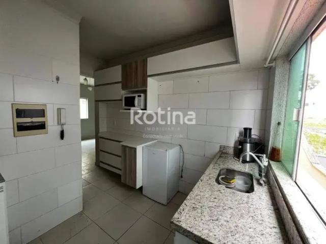 Apartamento com 3 Quartos para alugar, 55m² Bosque dos Buritis