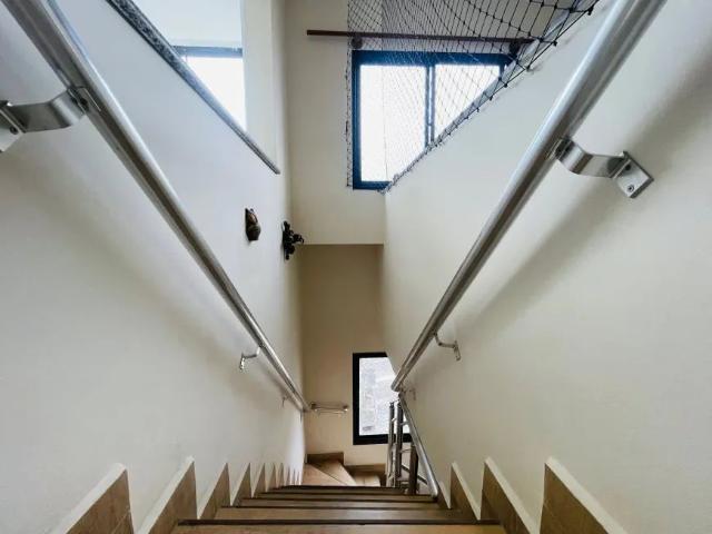 Apartamento com 3 Quartos para alugar, 65m² Enseada