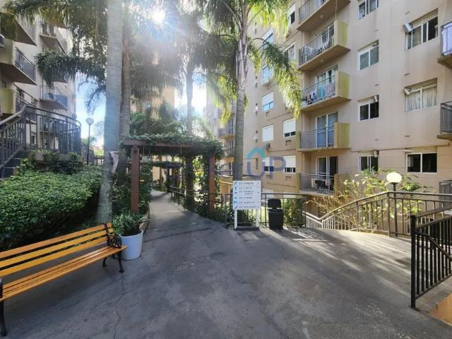 Apartamento com 3 Quartos para alugar, 67m² Tristeza
