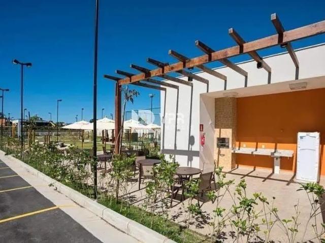 Apartamento com 3 Quartos para alugar, 69m² Palmeiras