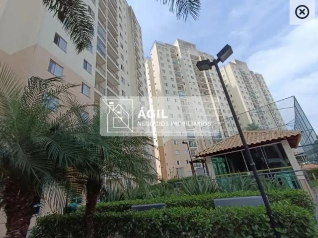 Apartamento com 3 Quartos para alugar, 63m² Jardim Augusta
