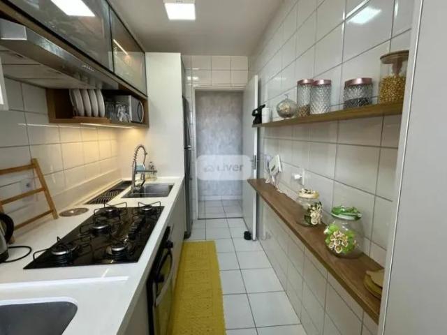 Apartamento com 3 Quartos para alugar, 70m² Vila São Luíz