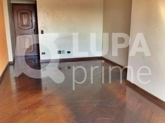 APARTAMENTO COM 3 QUARTOS PARA VENDA, ALTO DA MOOCA, SÃO PAULO