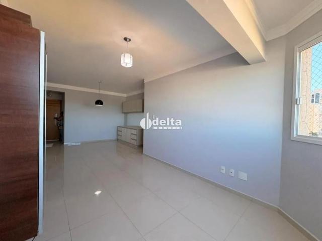 Apartamento Com 3 Quartos Sendo 1 Suíte Disponível Para Locação No Bairro Santa Mônica Em Uberlândia