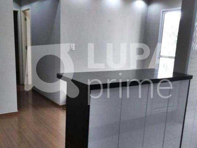 APARTAMENTO COM 3 QUARTOS SENDO 1 SUÍTE PARA VENDA, VILA AMÁLIA, SÃO PAULO