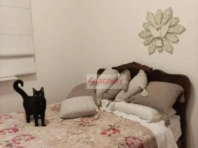 Apartamento com 1 dormitório à venda, 52 m² por R$ 548.000,00 Paraíso São Paulo/SP