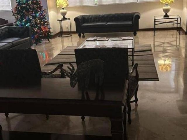 Apartamento com 1 dormitório à venda, 24 m² por R$ 400.000,00 Moema São Paulo/SP