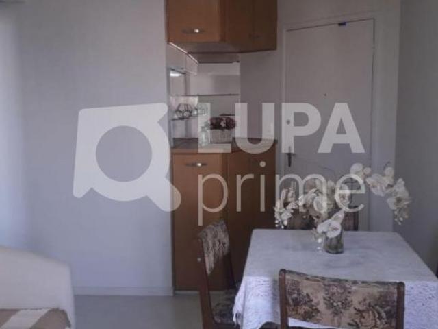 Apartamento com 1 dormitório à venda em Santana!