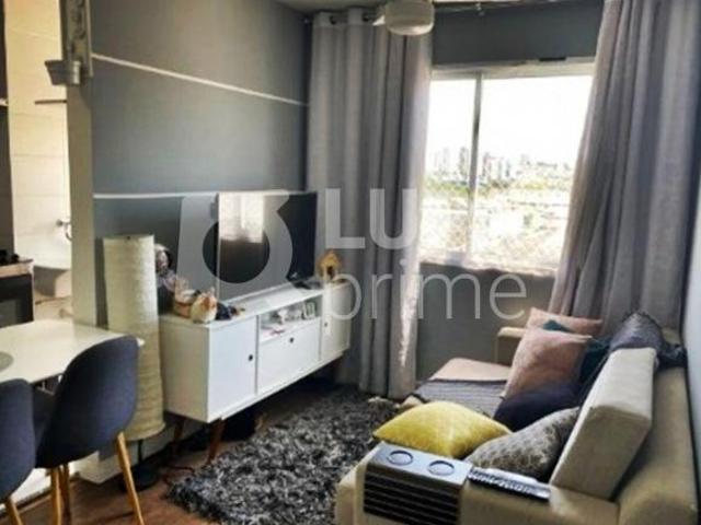 APARTAMENTO COM 1 QUARTO À VENDA NA ÁGUA BRANCA