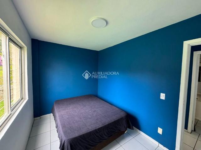 Apartamento com 1 quarto e 59m² para alugar em Córrego Grande, Florianópolis