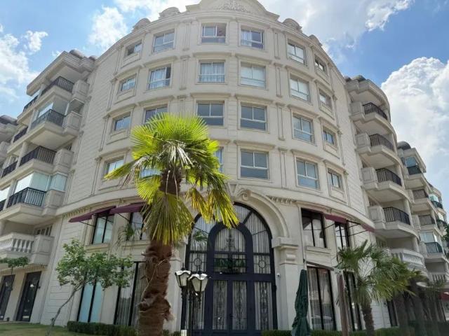 Apartamento com 1 Quarto para alugar, 22m² Vila Ester Zona Norte