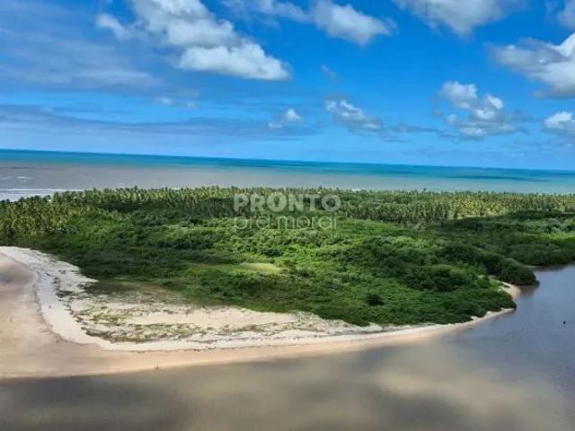 Apartamento com 1 Quarto para alugar, 35m² Barra de Jangada