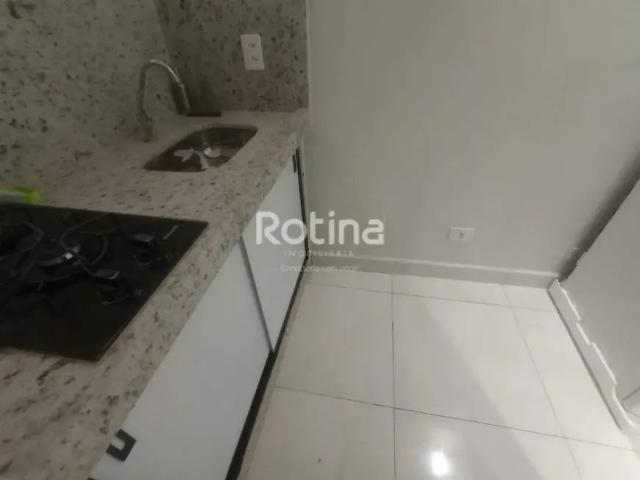 Apartamento com 1 Quarto para alugar, 36m² Centro