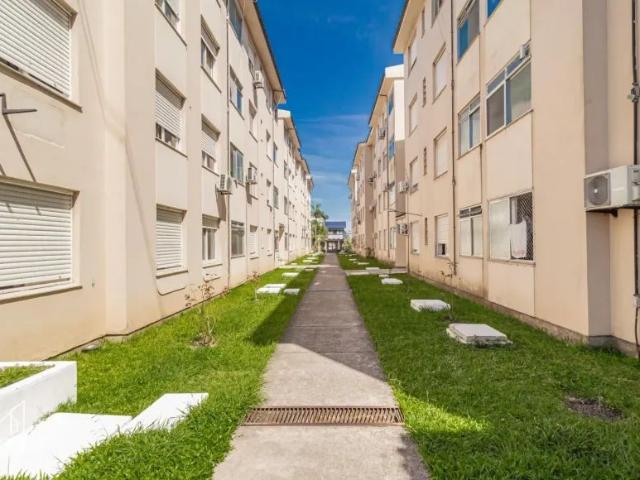 Apartamento com 1 Quarto para alugar, 50m² Centro